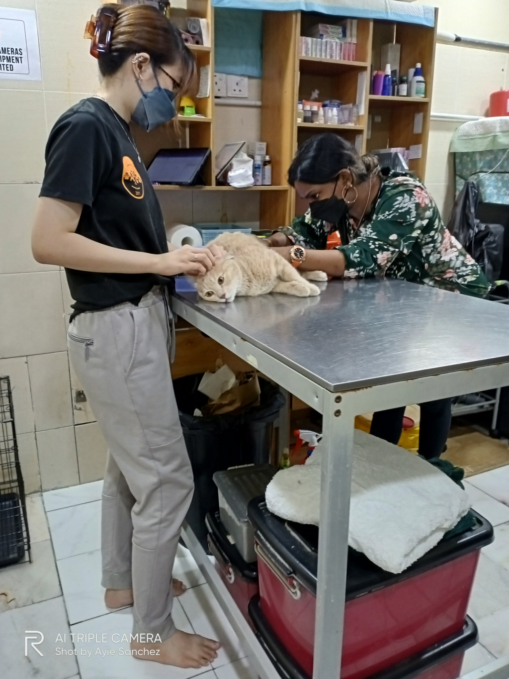 WE HELP ANIMALS THEY PRAY FOR US - iSADAQAH